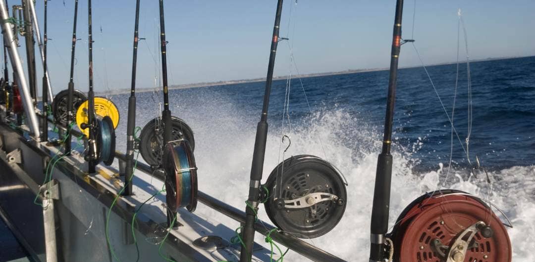 Fishing Charters - Your All-In Australian Guide | Koala Outdoor