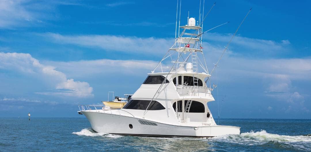 Deep Drop Fishing - Your Aussie Guide | Koala Outdoor