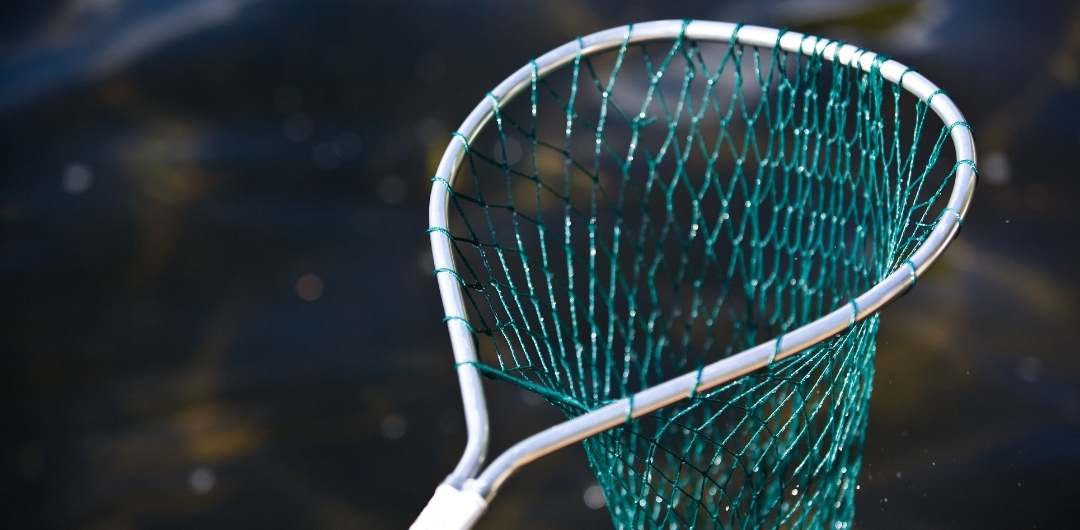Folding Fishing Nets - Extensive 2022 Guide | Koala Outdoor