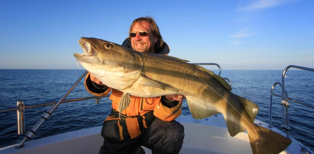 Best Lure Colours for Murray Cod | Koala Outdoor