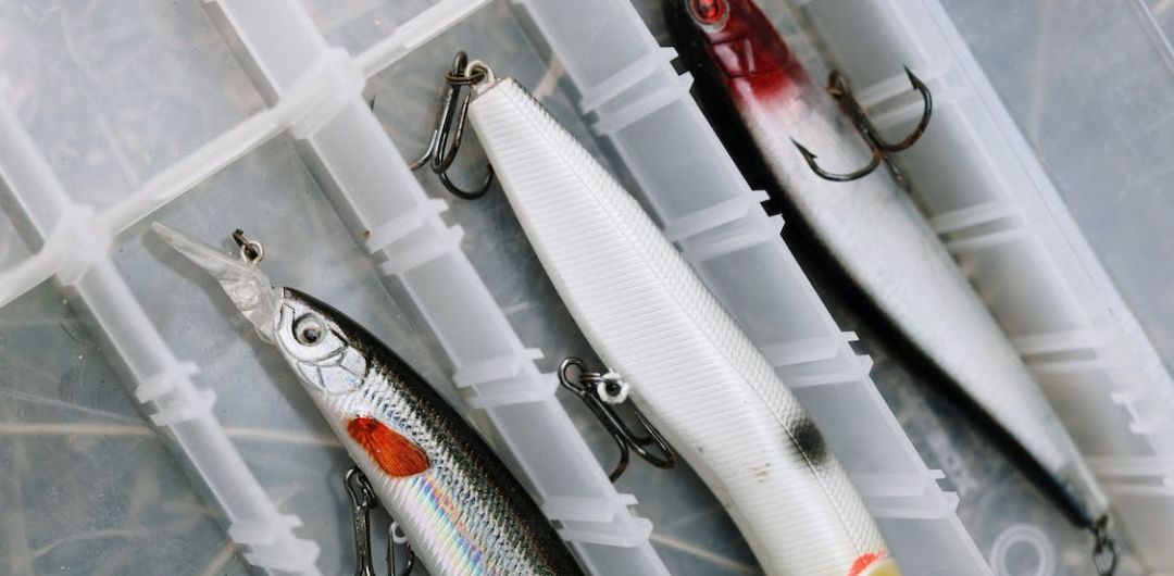 The Ultimate Guide to Murray Cod Lures | Koala Outdoor